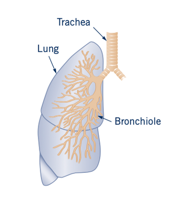 Sistem Beberapa Pipa - infistream